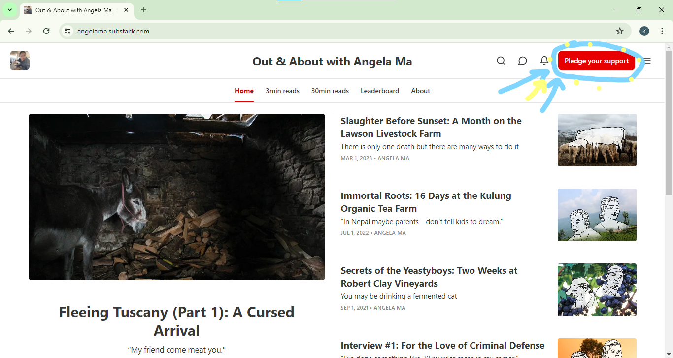 Patrons – Angela Ma